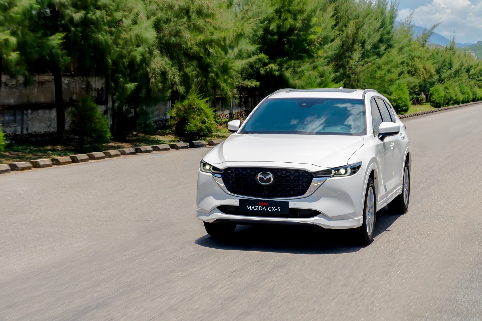 Top 5 Most Popular and Expensive SUV/Crossover Models of 2023 - vnauto.net