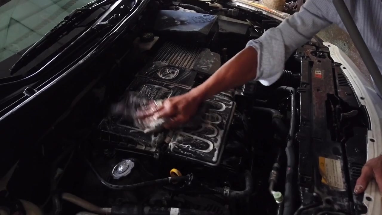 The Ultimate Guide to Mouse-Proofing Your Car Engine: A Simple Yet ...